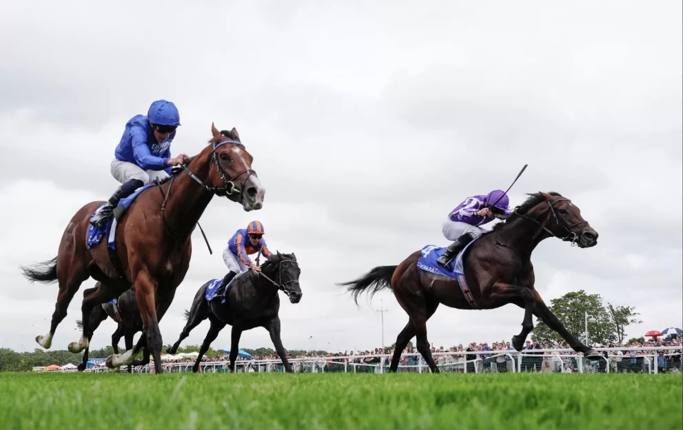 When is the Champion Stakes? Ascot date, time, runners, odds – Paddy ...