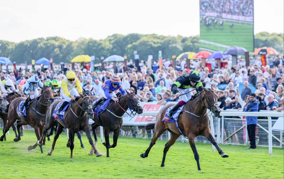 When is the Ebor Handicap? York date, time, runners and betting – Paddy ...