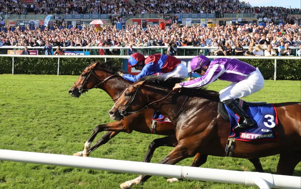 When is the Irish St Leger? Curragh date, time, runners and betting ...