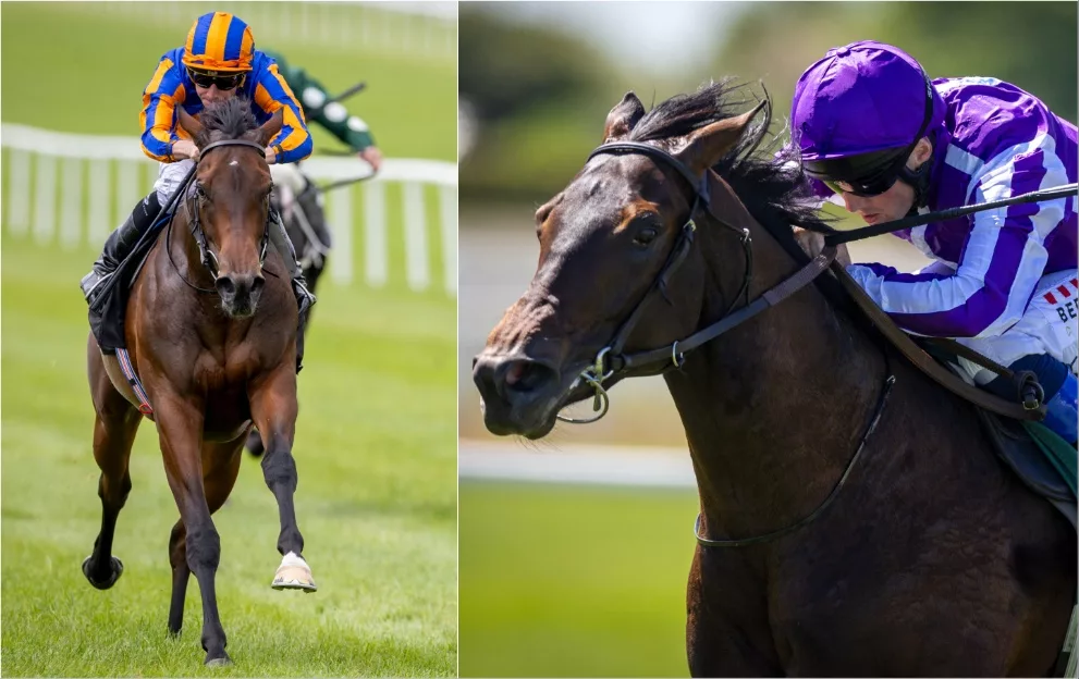 Phoenix Stakes tips and runners guide to Curragh 4.00 on Saturday ...