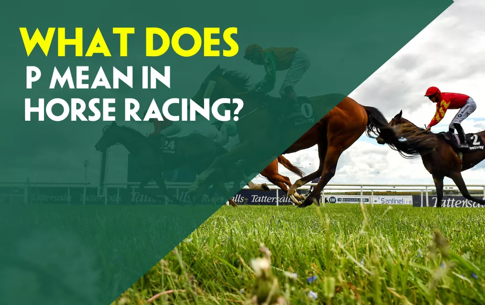What does P mean in horse racing? – Paddy Power News