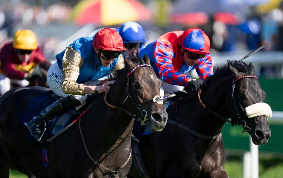 Flying Childers Stakes tips and runners guide to Doncaster 2.25 – Paddy ...