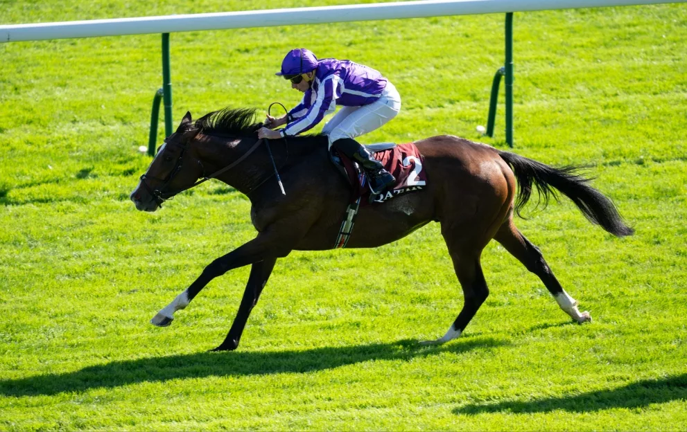 Irish St Leger tips and runners guide to Curragh 4.25 on Sunday – Paddy ...