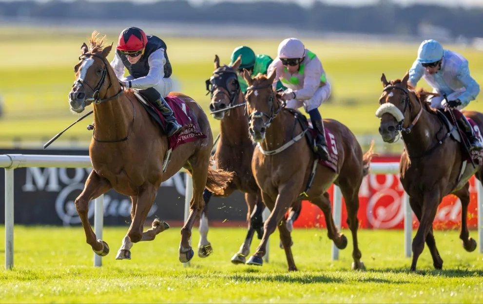 Curragh Irish St Leger trends for Sunday 4.25 based on previous winners ...