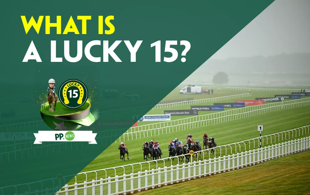 Horse Racing Betting Guides – Paddy Power News