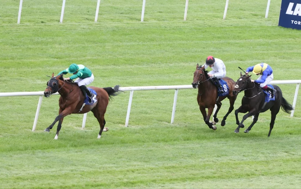 When is the Irish Cesarewitch? Curragh date, time, runners and betting ...