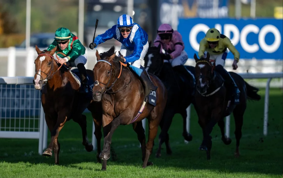When is the Champion Stakes? Ascot date, time, runners, odds – Paddy ...