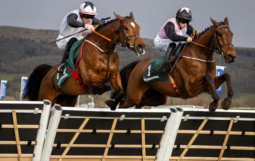 Paddy Power Stayers’ Hurdle 2026 date, time, runners & odds – Paddy ...