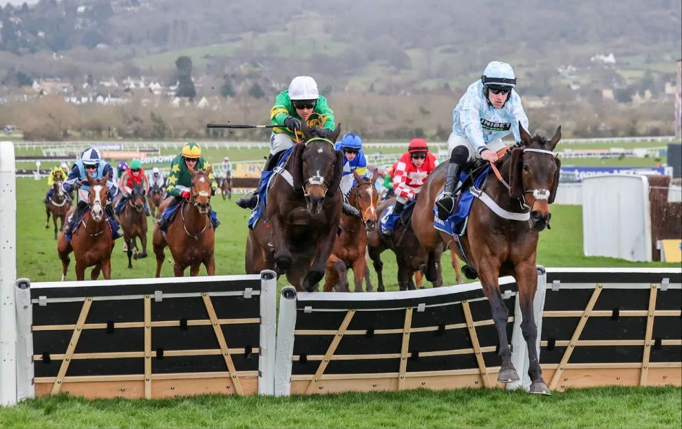 Pertemps Final qualification results and runners for 2026 – Paddy Power ...