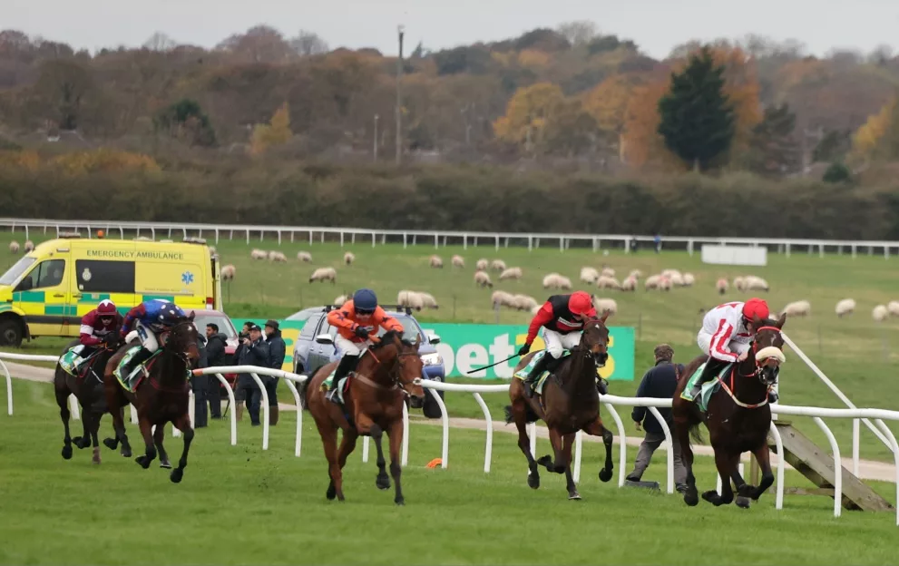 Charlie Hall Chase tips and runners guide to Wetherby 2.57 – Paddy ...