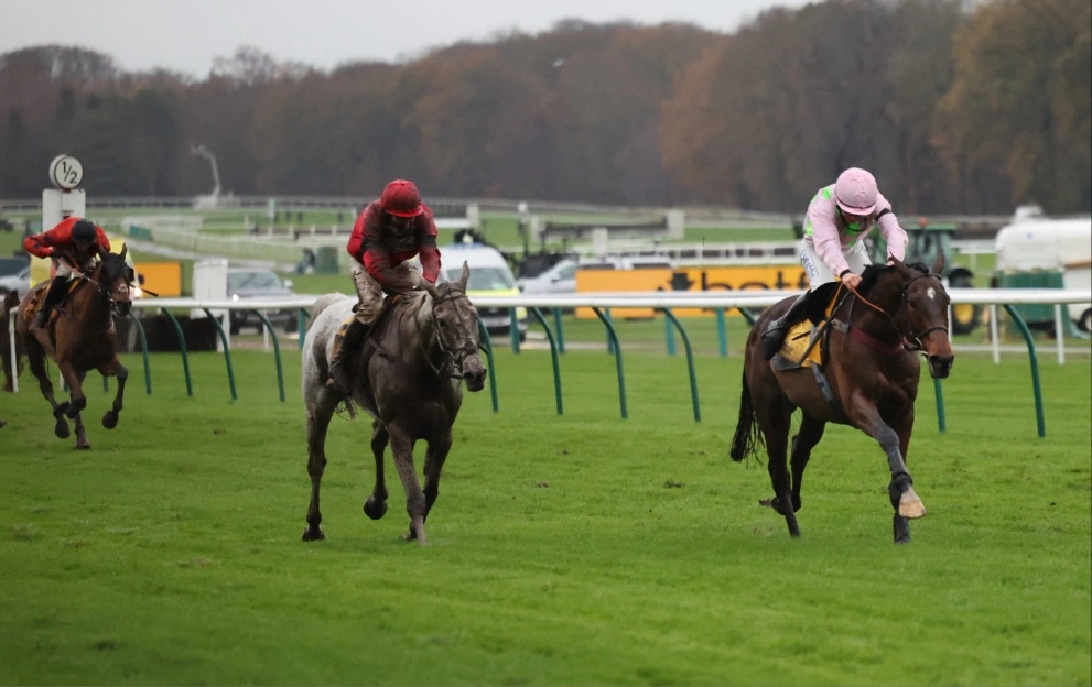 Betfair Chase tips and runners guide to Haydock 3.00 – Paddy Power News