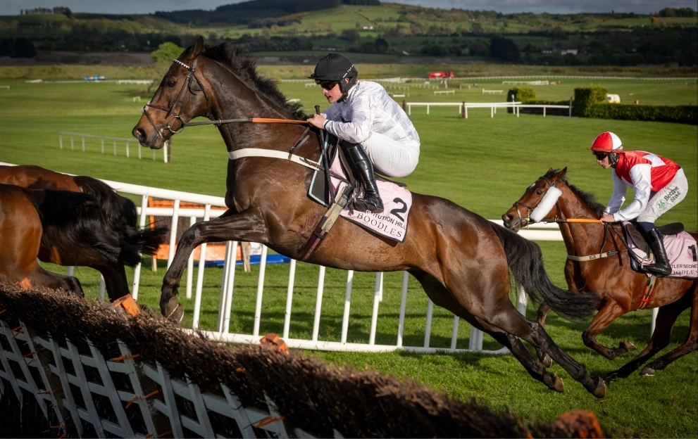 Fighting Fifth Hurdle tips & runners guide to Newcastle 2.00 – Paddy ...