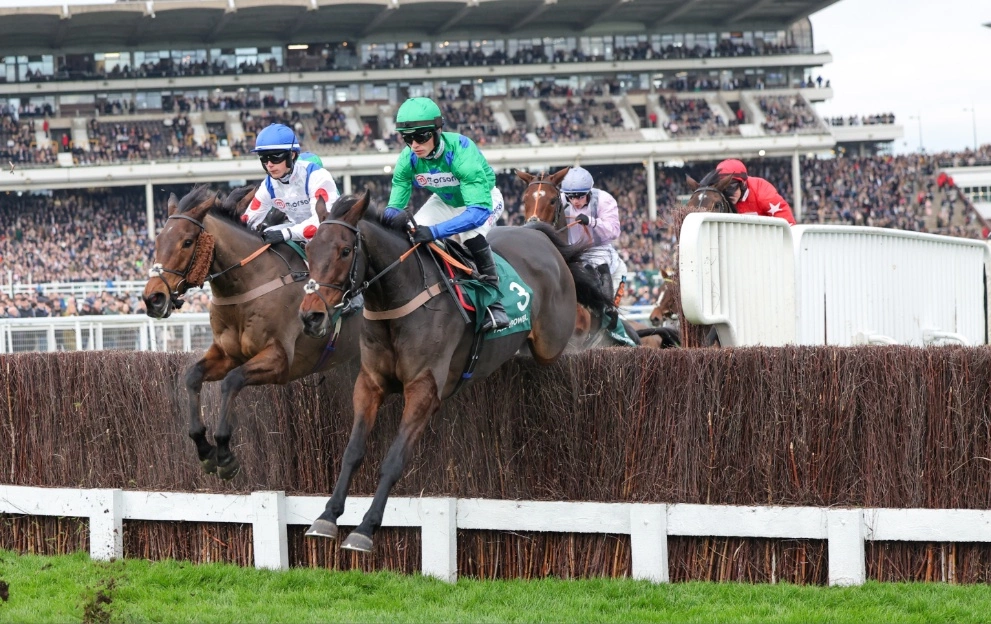 Paddy Power Gold Cup tips & runners guide to Cheltenham 2.20 – Paddy ...