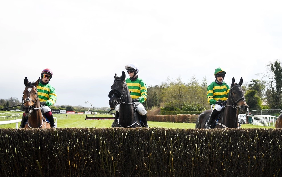 Horse Racing Gear: What jockeys and horses wear during races | Paddy ...