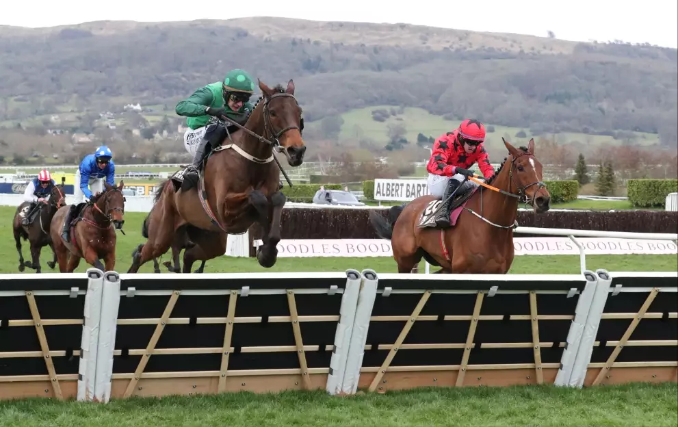 Albert Bartlett Novices Hurdle 2026 date, time and runners – Paddy ...