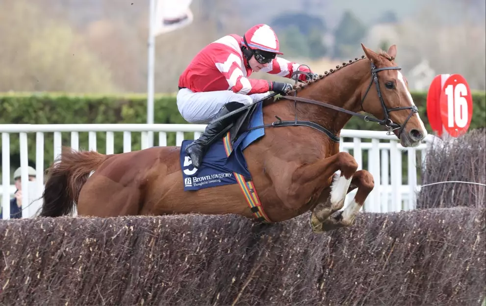Brown Advisory Novices’ Chase 2026 date, time, runners, odds – Paddy ...