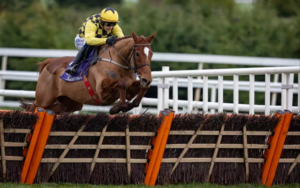 Irish Champion Hurdle 2026 date, time, runners and odds – Paddy Power News