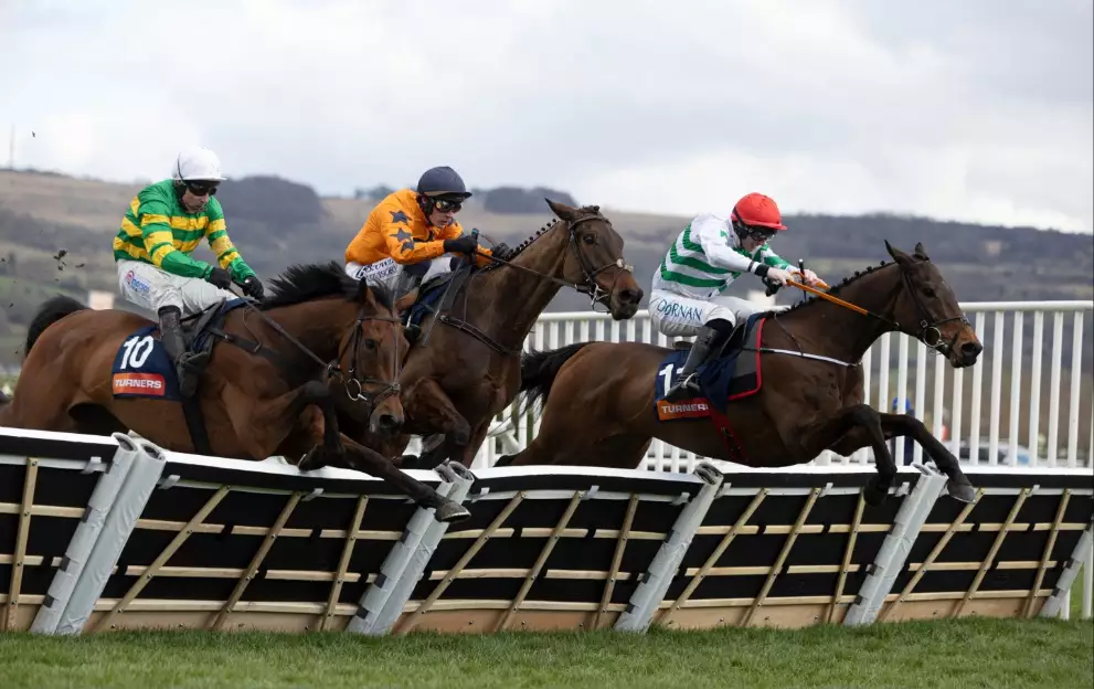 Turners Novices’ Hurdle 2026 date, time, runners and odds – Paddy Power ...