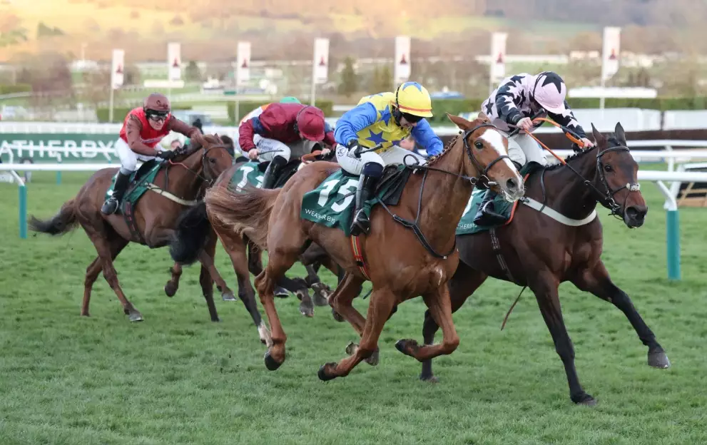 Champion Bumper 2026 date, time, runners and odds – Paddy Power News