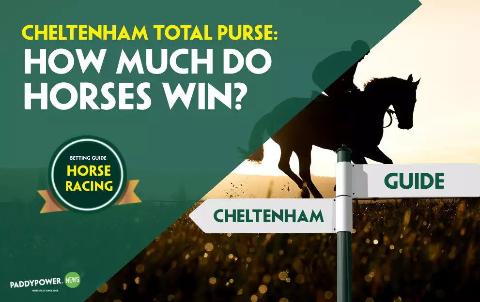 Cheltenham Total Purse: How much do horses win? – Paddy Power News
