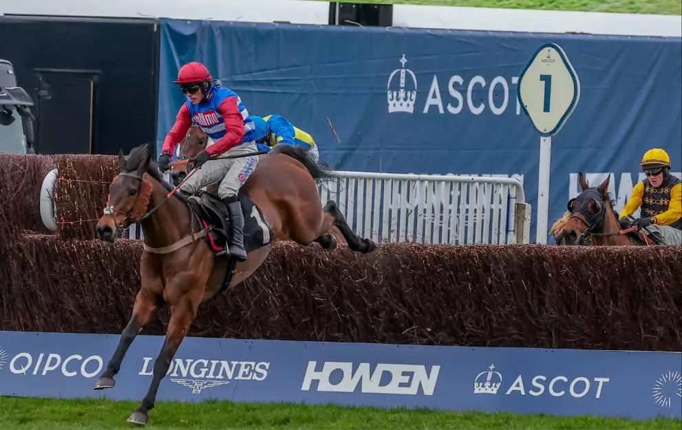 Swinley Handicap Chase Archive | Paddy Power News