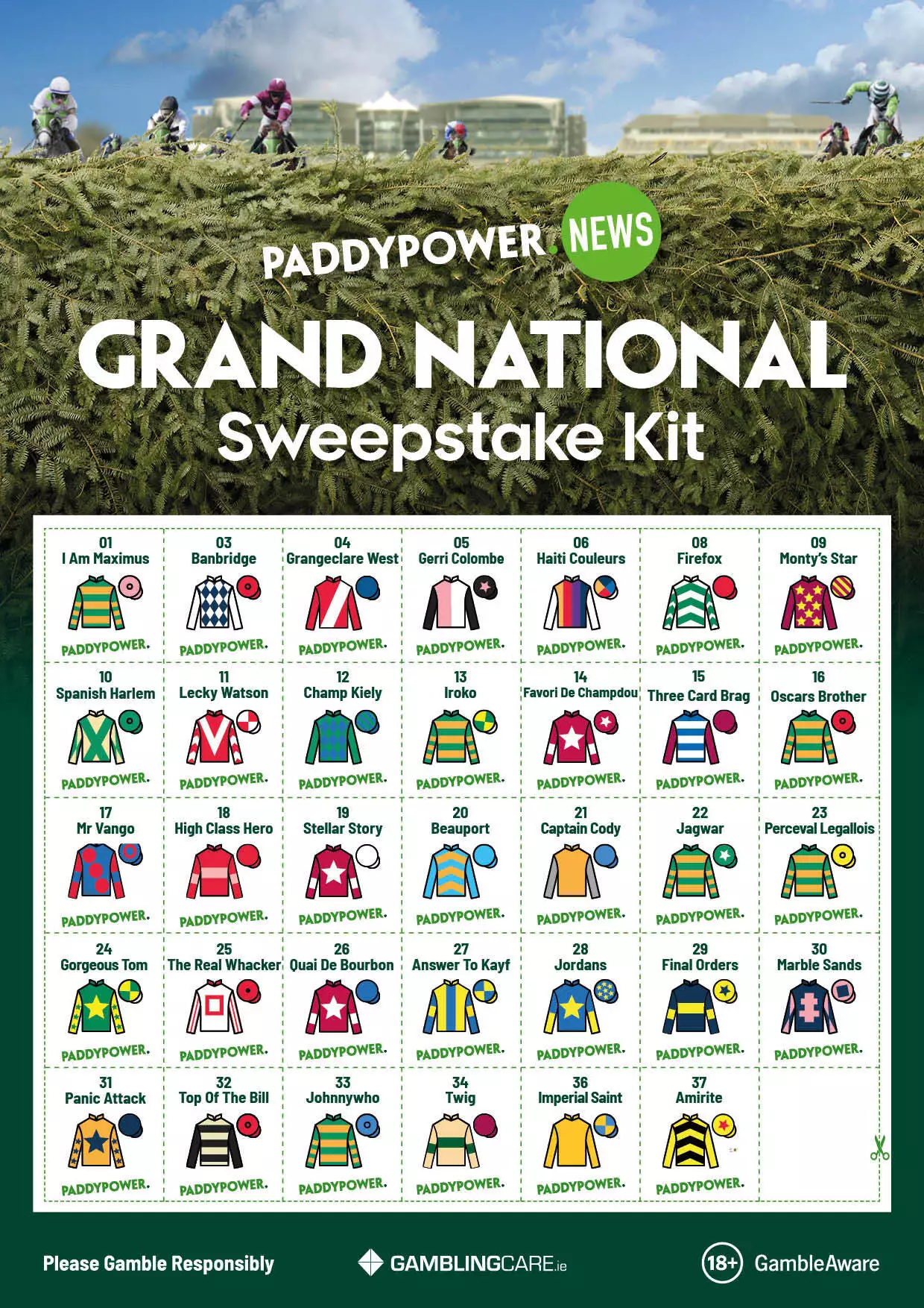 Grand National Sweepstake: Download 2026 kit – Paddy Power News
