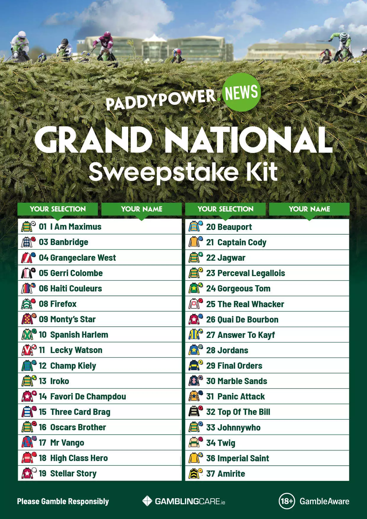 Grand National Sweepstake: Download 2026 kit – Paddy Power News