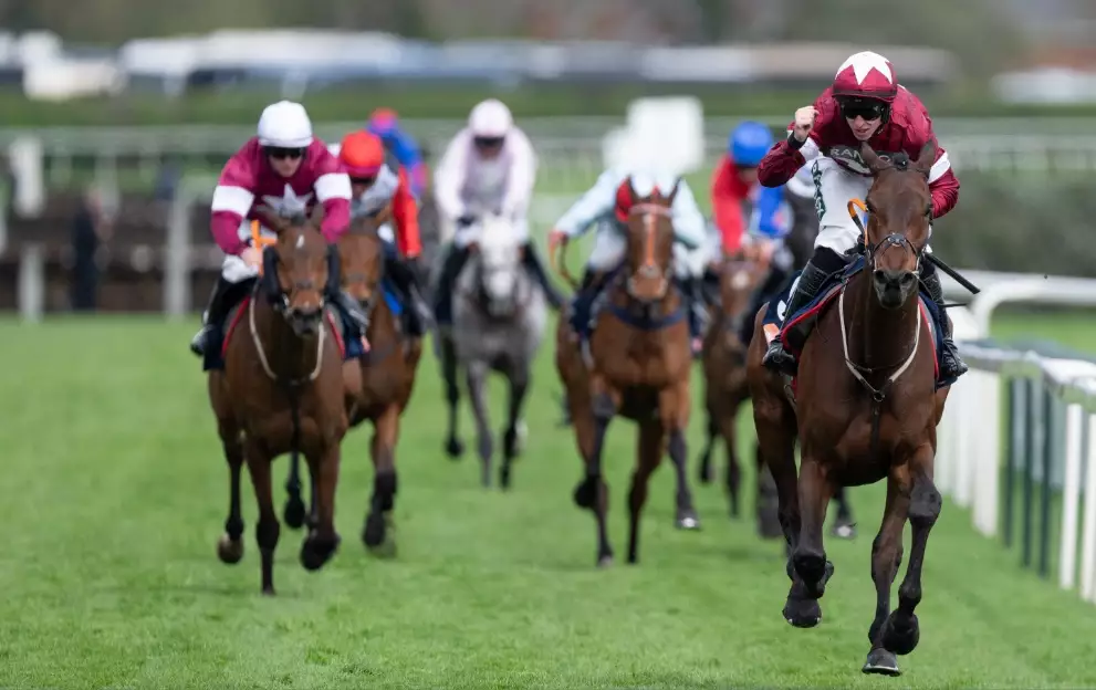 Aintree Hurdle tips and runners guide to Aintree 4.05 – Paddy Power News