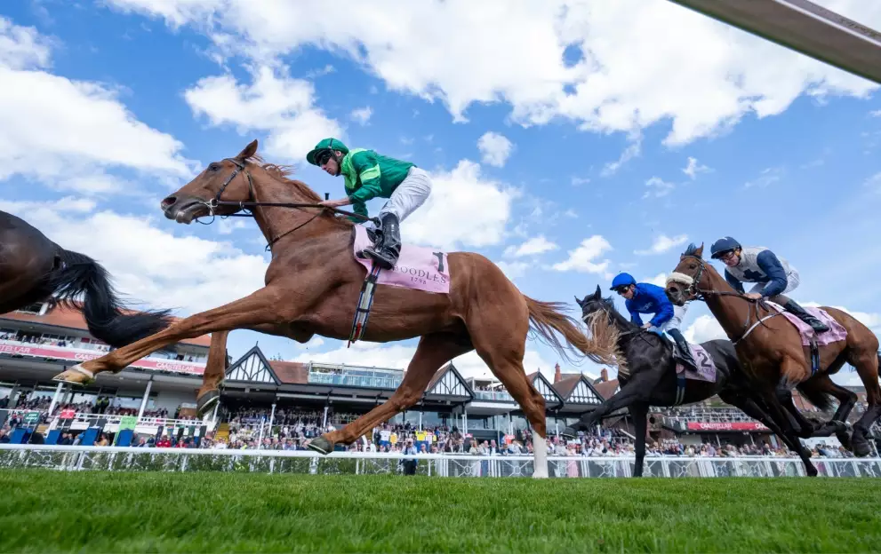 Horse Racing Tips: Timeform’s Chester Friday fancies – Paddy Power News
