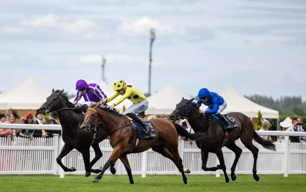 Royal Ascot results LIVE: Today’s Fast Results on Day 2 – Paddy Power News