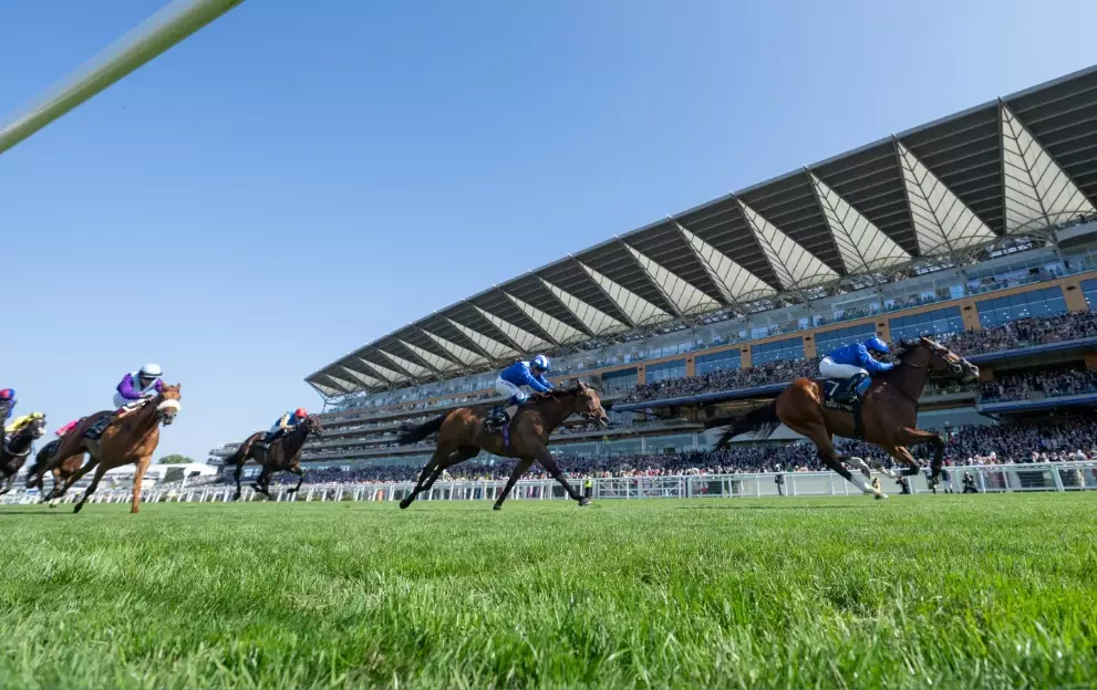 Ascot Race Card Today: Ultimate guide to Day 2 on Wednesday – Paddy ...