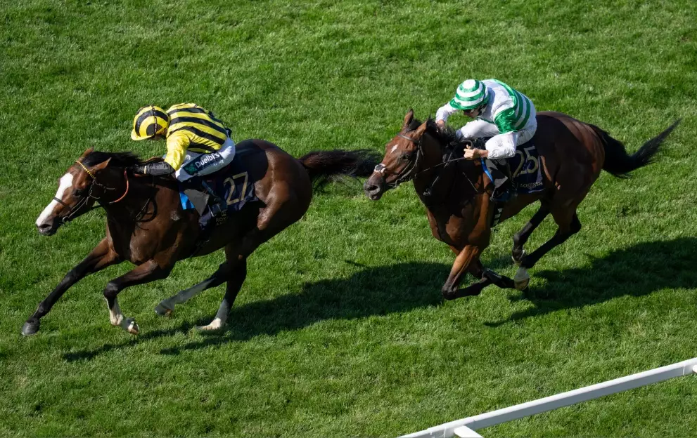 Ascot 5.00 Tips Today: Royal Hunt Cup bets on Day 2 – Paddy Power News