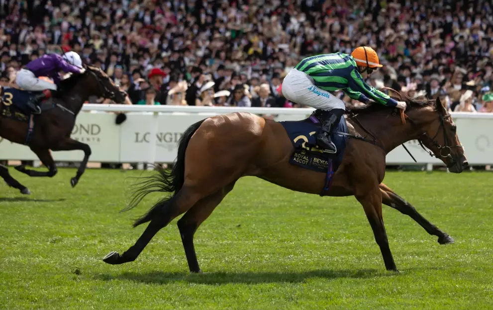 Ascot 3.05 Tips Tomorrow: Commonwealth Cup bets on Day 4 – Paddy Power News