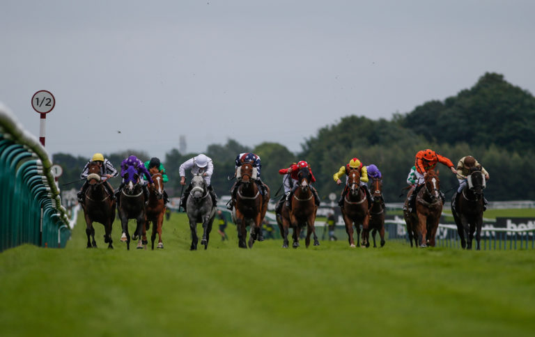 NAP of the Day: Friday's NAPs Table of UK & Ireland horse racing tips