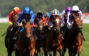 Monday Racing: A trio of punts from our traders to kick start the week