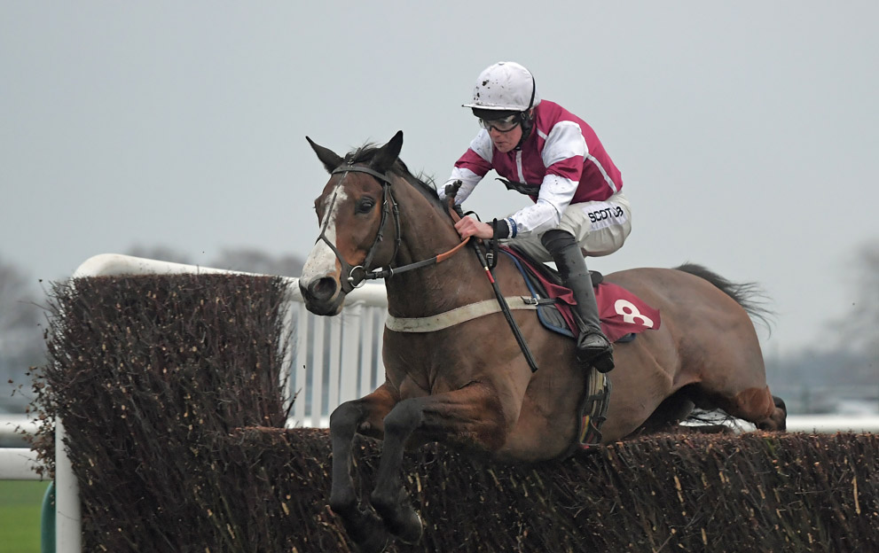 Our racing treble could make this Tuesday a golden one – Paddy Power News