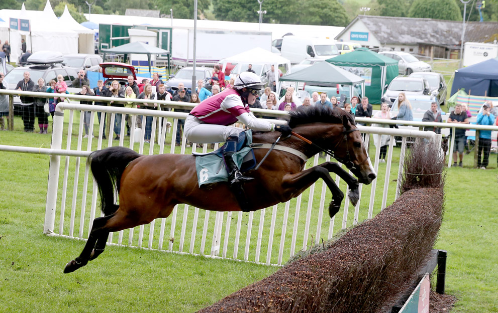 Our racing treble could make this Tuesday a golden one – Paddy Power News