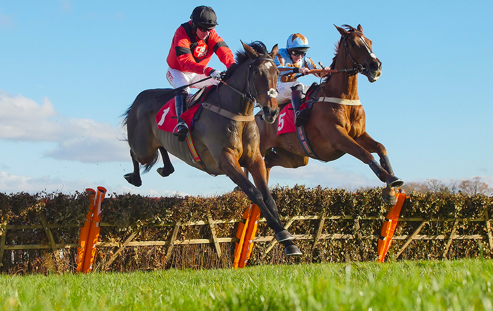 This lad could be Dashing to victory at Newton Abbot on Wednesday ...