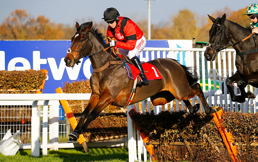 This lad could be Dashing to victory at Newton Abbot on Wednesday
