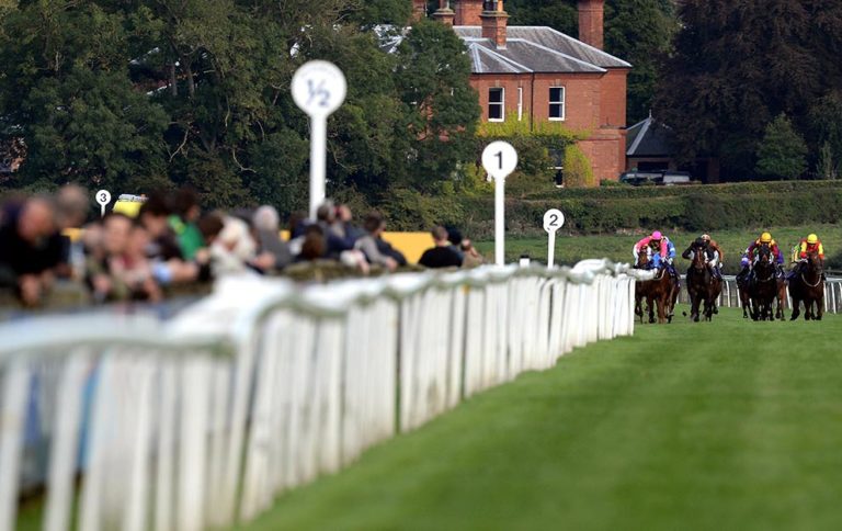 Horse Racing Tips from Paddy's Tipsters and Traders | Paddy Power News