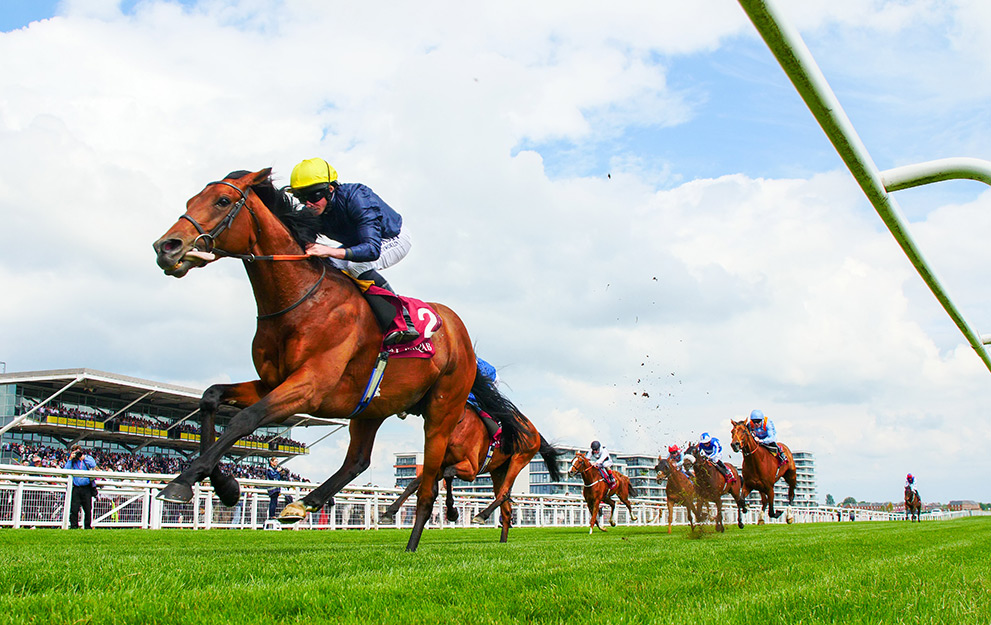 Matt Chapman: I'm going strong on Crystal Ocean for the Prince of Wales