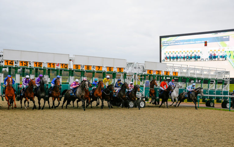 Horse Racing Tips from Paddy's Tipsters and Traders | Paddy Power News