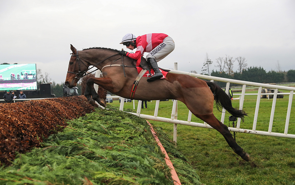 Horse racing betting: Our traders trixie at Punchestown is what you ...