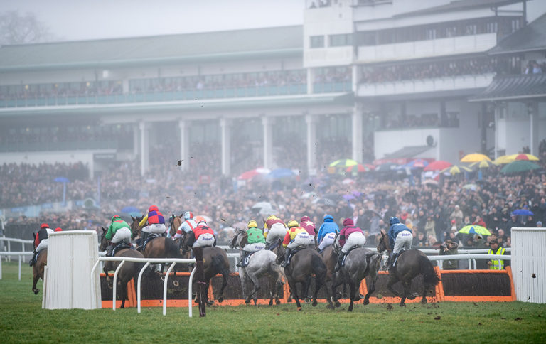 NAP of the Day: Monday's NAPs Table of horse racing tips