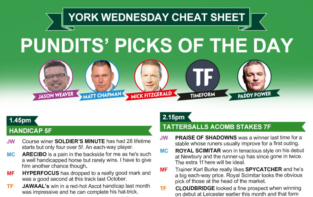 Horse Racing tips: York Cheat Sheet on day one from our top pundits