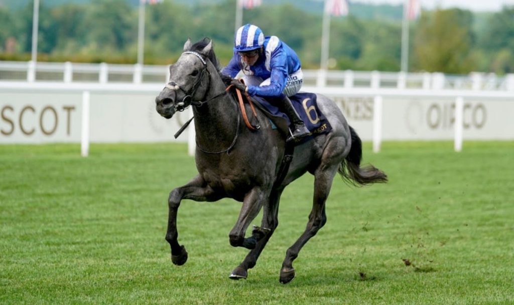 Horse Racing Tips: Paddy Power's six to score this weekend