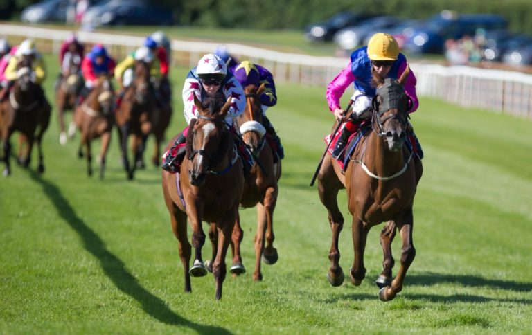 Horse Racing Tips & Racing Predictions » Paddy Power News