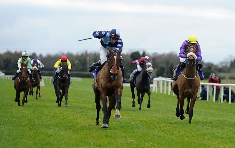 What is a Flag in Horse Racing? Understanding the Basics