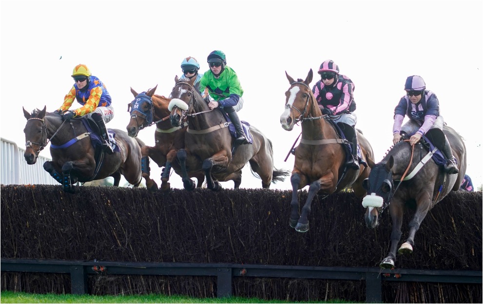 Lucky 15: Wednesday's best bets across the tracks using our NAPs table