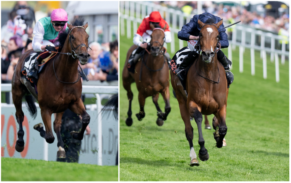 Irish Derby tips from our experts for Saturday's 3.45 at the Curragh